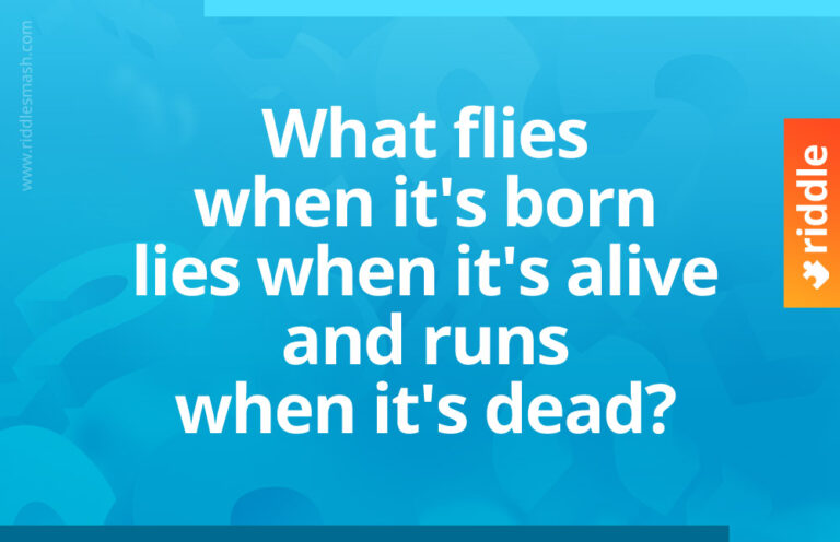 What flies when it's born lies when it's alive - Riddle - Riddlesmash.com