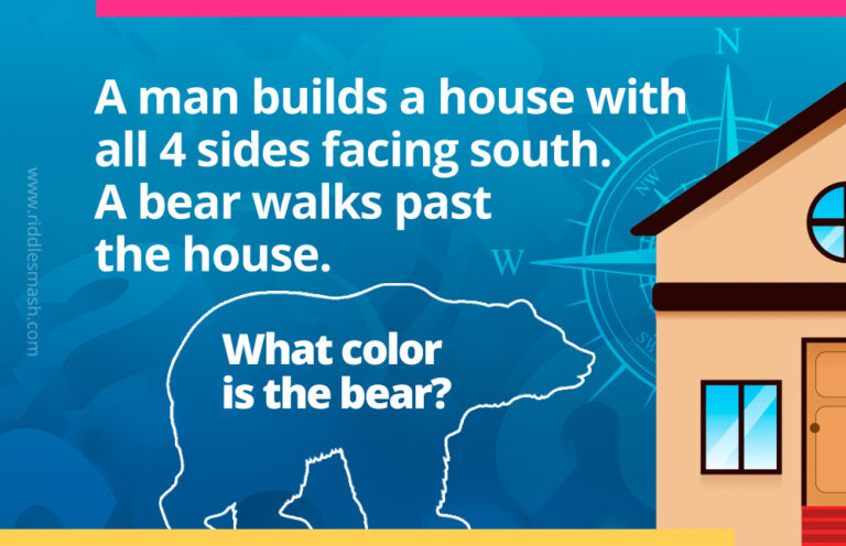 What do you call a bear with no teeth? - Riddlesmash.com