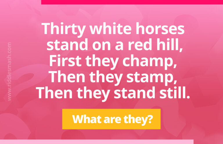 Thirty white horses stand on a red hill - Riddle - Riddlesmash