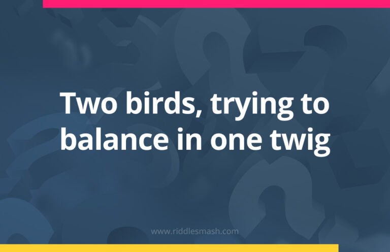 Two birds, trying to balance in one twig - Riddle - Riddlesmash