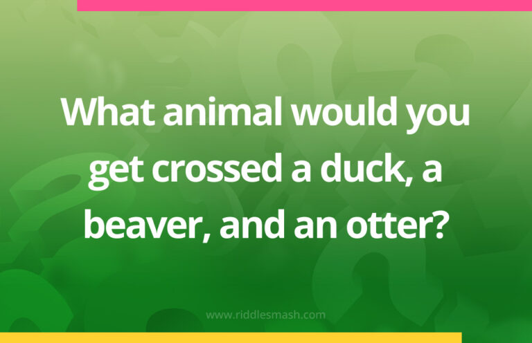 What animal would you get crossed a duck, a beaver, and an otter ...