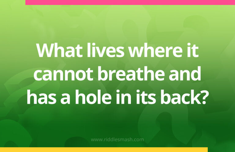 What loses its head in the morning but gets it back at night? – Riddle ...