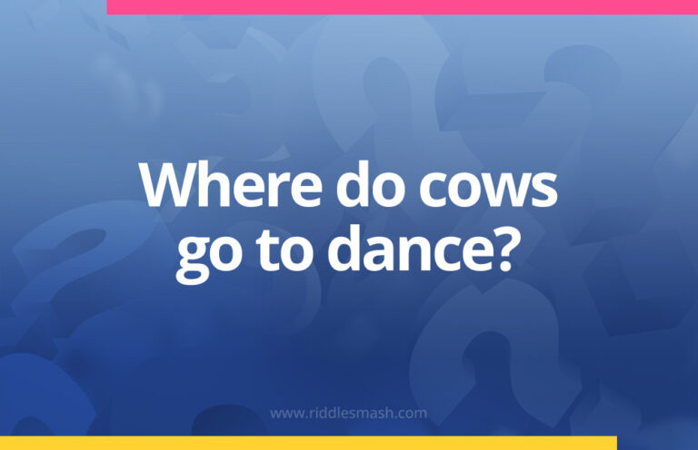 Where do cows go to dance? - Joke Riddle - Riddlesmash