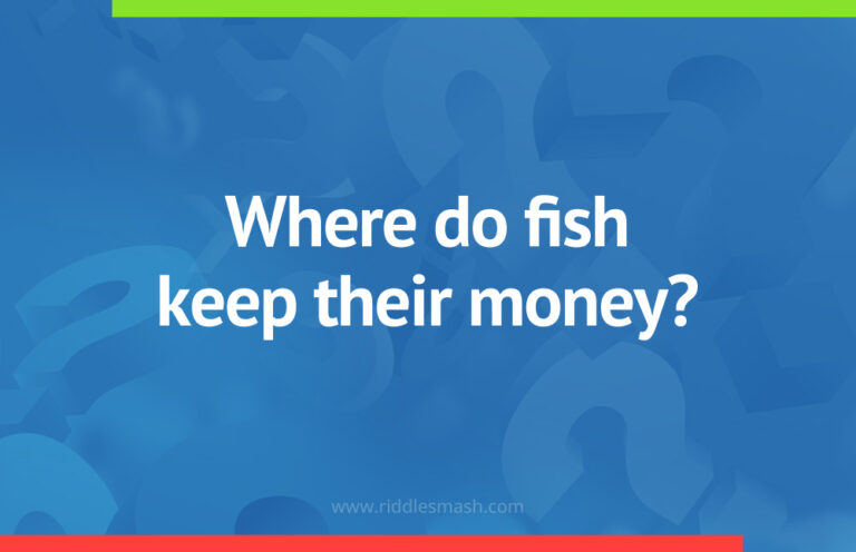 Where does a snowman keep his money? - Riddlesmash.com