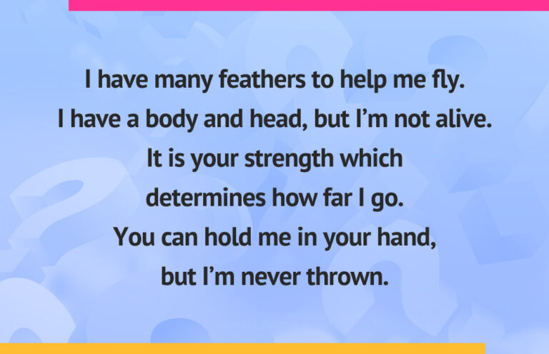I have many feathers to help me fly - Riddle - Riddlesmash.com