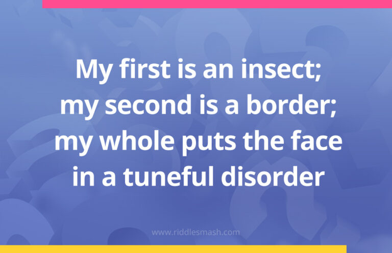 My first is an insect, my second is a border - Riddle - Riddlesmash.com