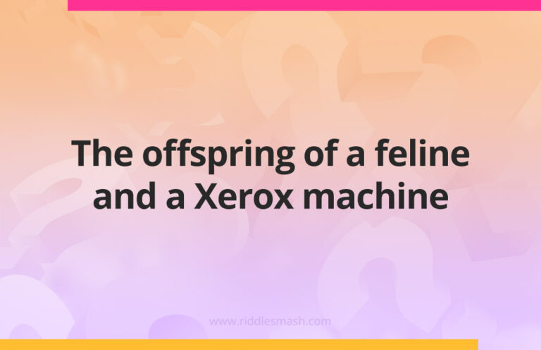 The offspring of a feline and a Xerox machine - Riddle - Riddlesmash.com