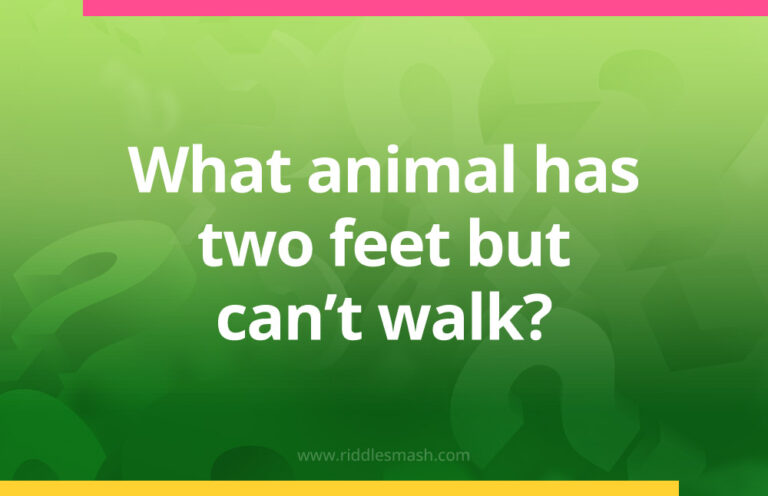 What has two legs but can’t walk? – Riddlesmash.com
