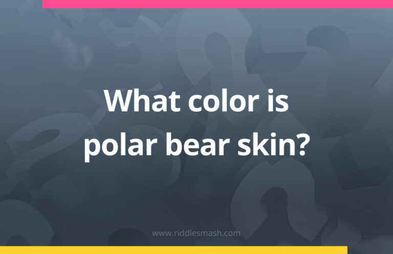 What color is polar bear skin? - Riddlesmash.com