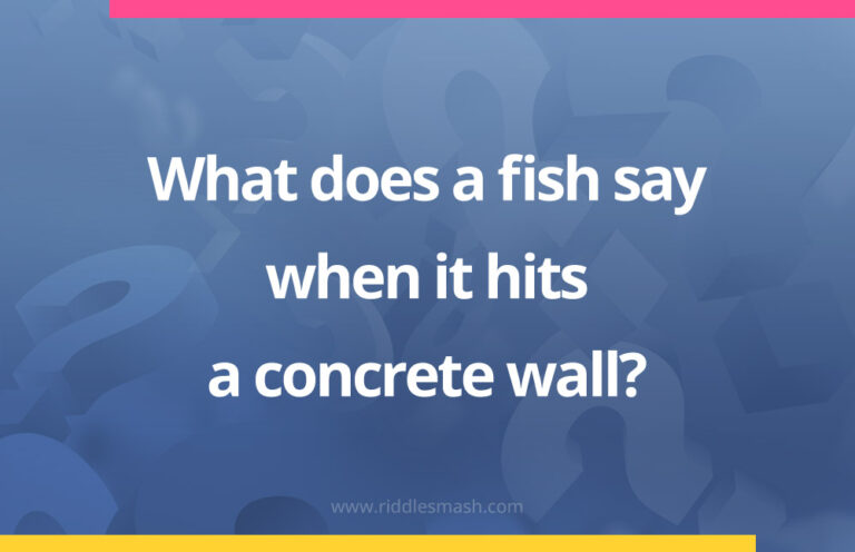 What does a fish say when it hits a wall ? - Riddlesmash