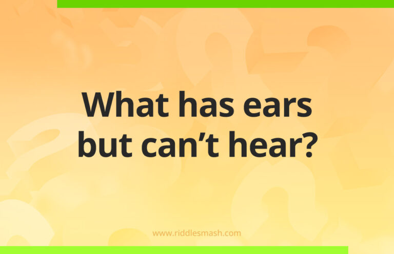 What has ears but can't hear? - Riddlesmash.com