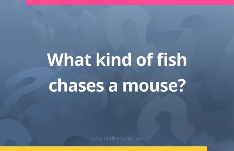 What kind of fish chases a mouse? – Riddlesmash.com
