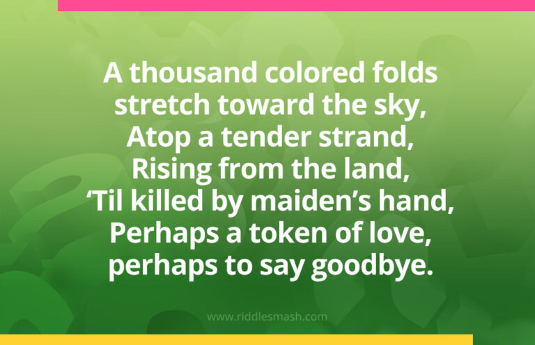A thousand colored folds stretch toward the sky - Riddle - Riddlesmash.com