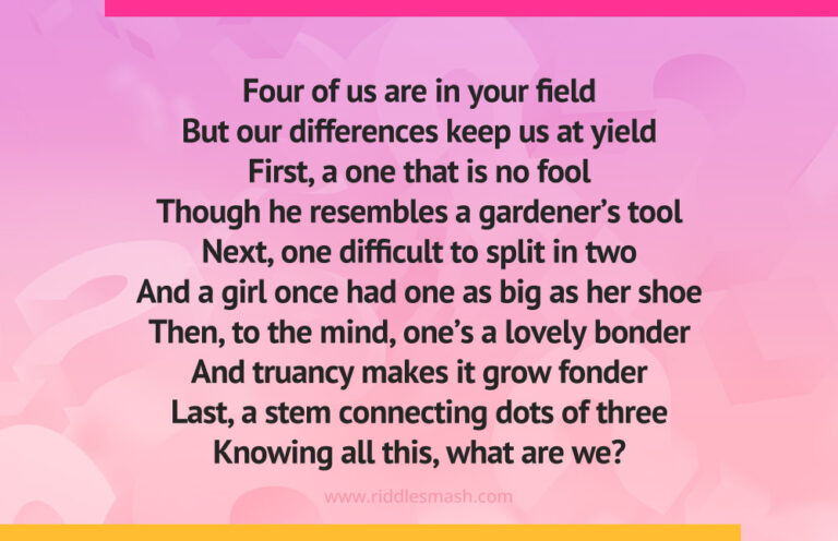 What has four wheels and flies? – Riddlesmash.com