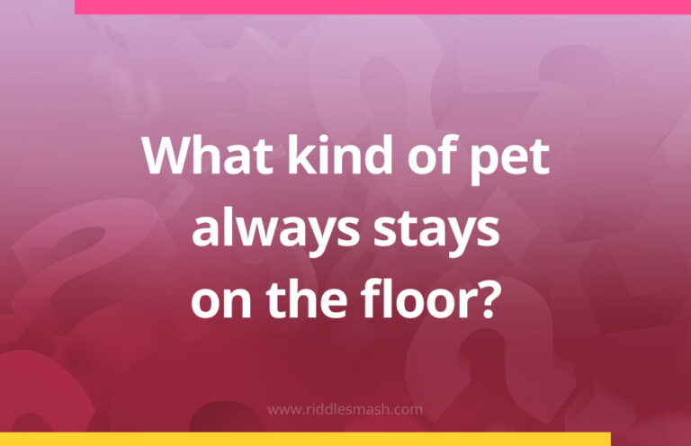 What kind of pet always stays on the floor? - Riddlesmash.com