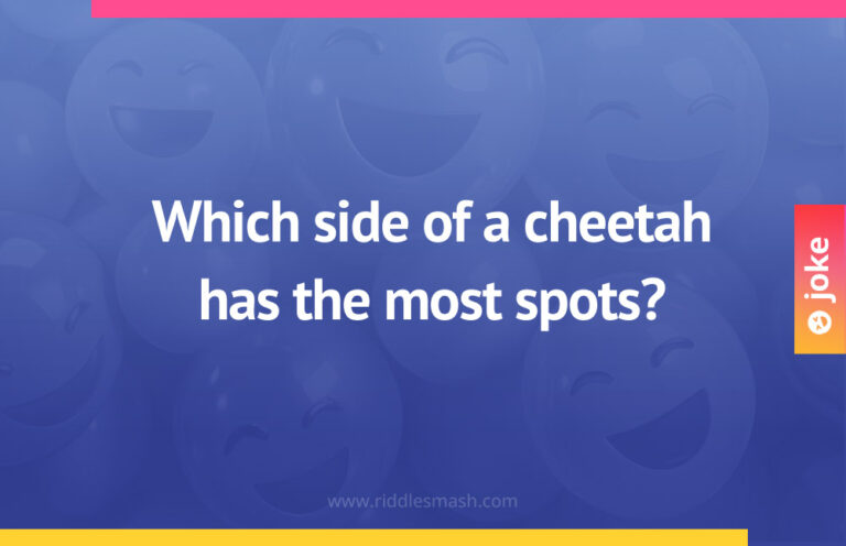 Which side of a cheetah has the most spots? - Joke Riddle - Riddlesmash
