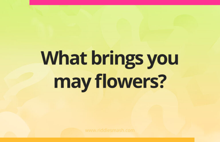 Brings you may flowers - Riddle - Riddlesmash.com