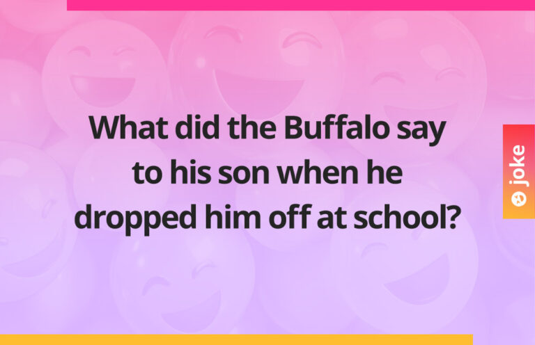 What did the Buffalo say to his son - Joke - Riddlesmash.com