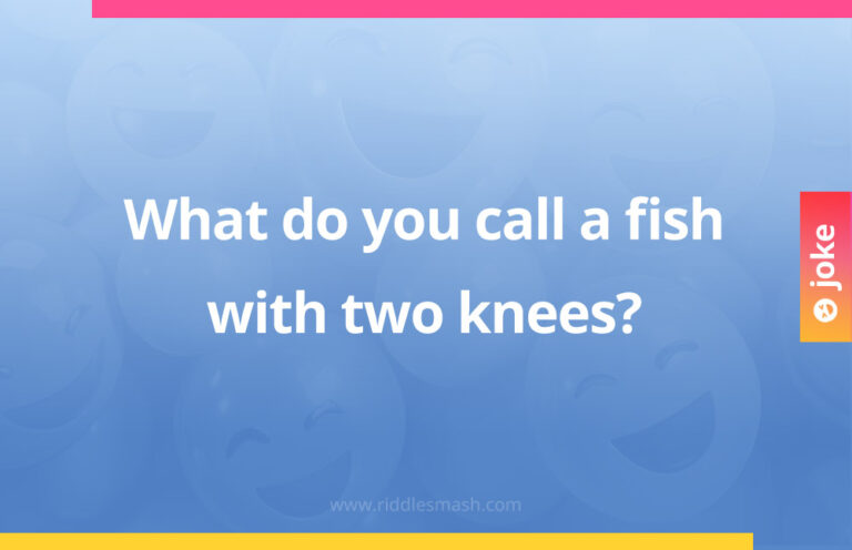 What do you call a fish with two knees? - Riddlesmash