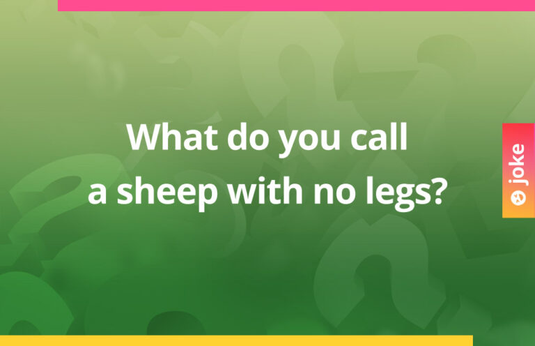 What do you call a sheep with no legs? - Riddlesmash