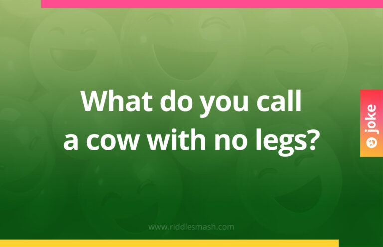 What do you call a cow with two legs? - Riddlesmash