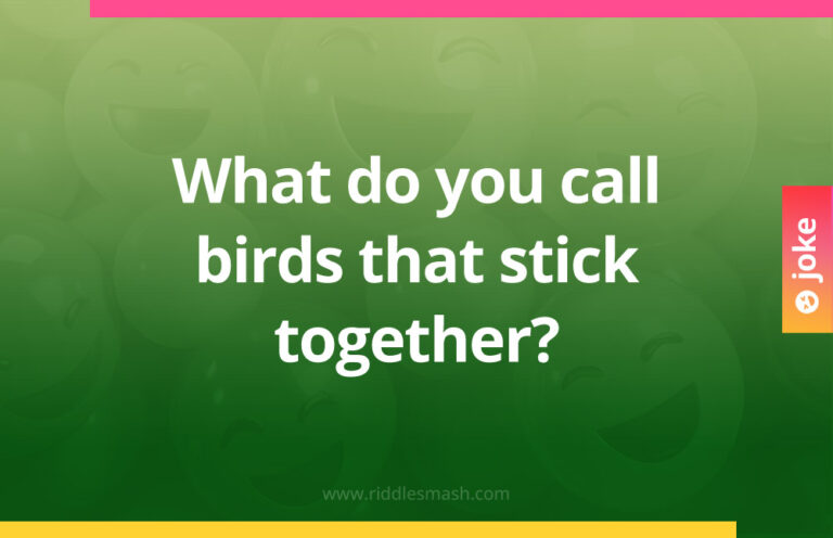 What's brown and sticky? - Riddlesmash