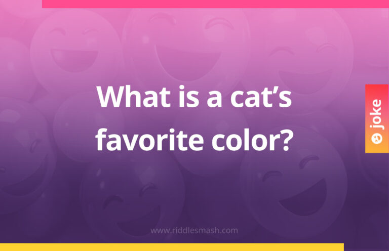 What is a cat’s favorite color? – Riddlesmash.com