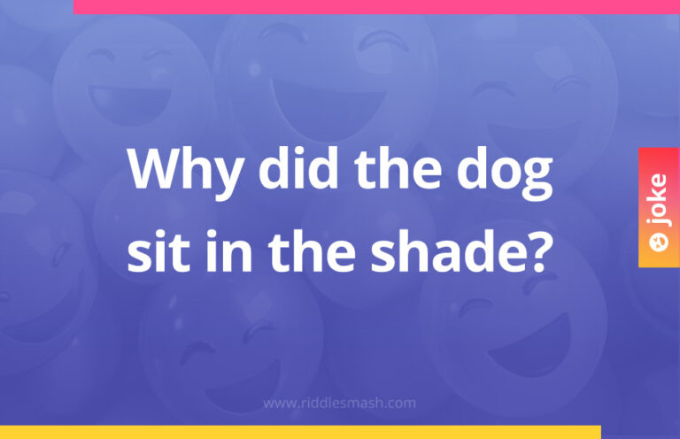 Why did the dog sit in the shade? - Riddlesmash