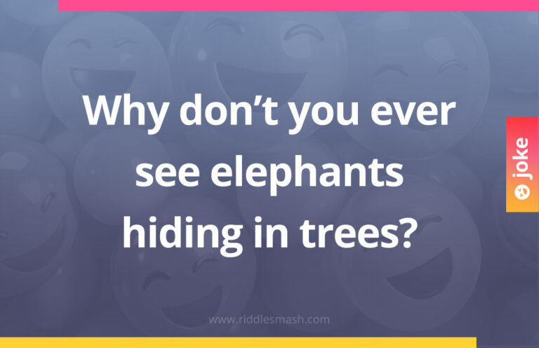 Why don't you ever see elephants hiding in trees? - Riddlesmash.com