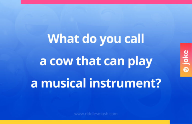 What do you call a cow that can play a musical instrument ...