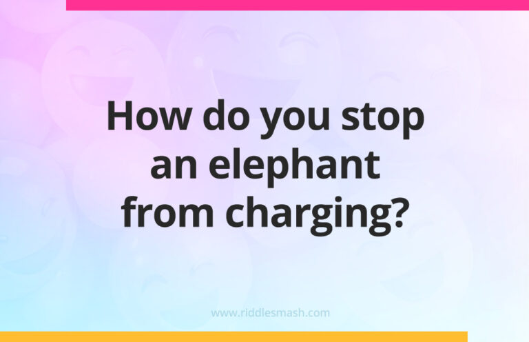 How do you stop an elephant from charging? - Riddlesmash