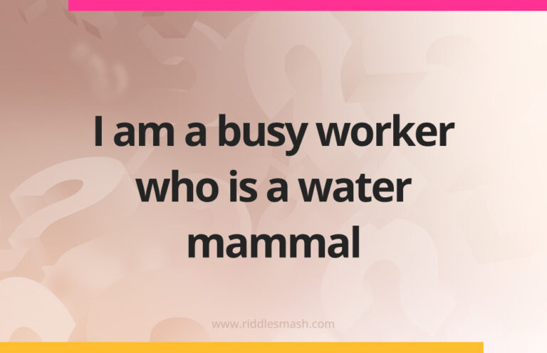 I am a busy worker who is a water mammal - Riddle - Riddlesmash