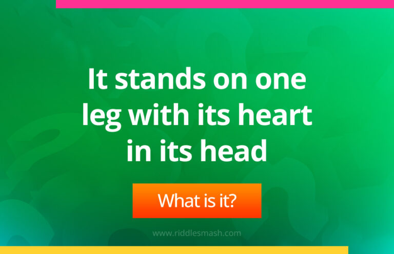 It stands on one leg with its heart in its head - Riddle - Riddlesmash