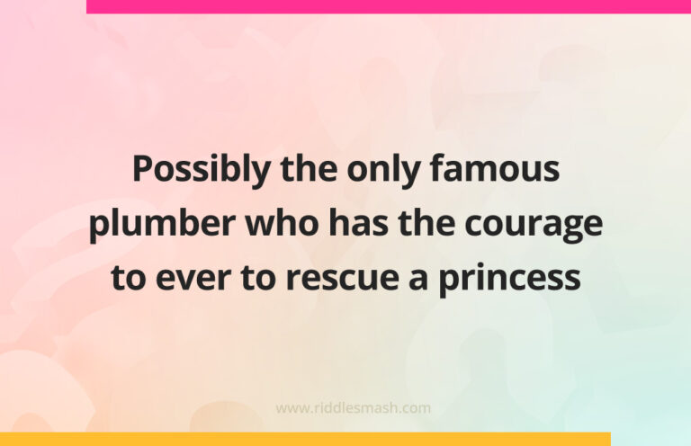 Possibly the only famous plumber - Riddle - Riddlesmash