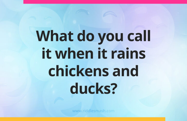 What do you call it when it rains chickens and ducks? - Riddlesmash