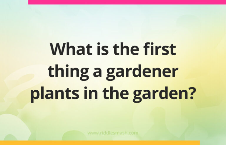 What is the first thing a gardener plants in the garden? - Riddlesmash.com