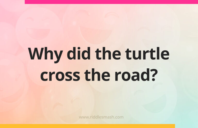 What do you get when you cross a turtle with a giraffe? - Riddlesmash