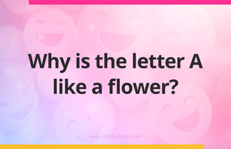Why is the letter A like a flower? - Riddlesmash