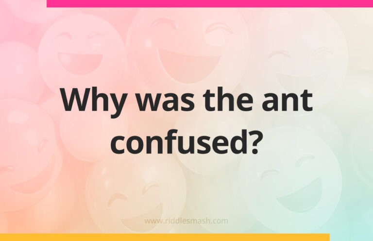 Why was the ant confused? - Riddlesmash