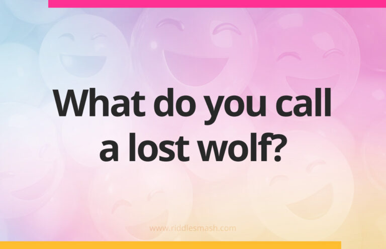 What do you call a lost wolf? - Riddlesmash